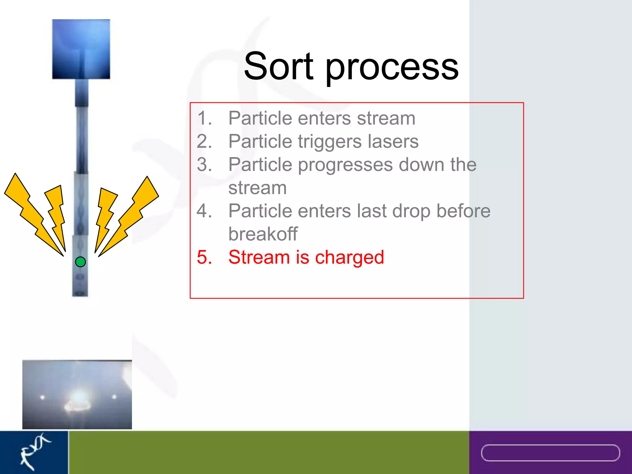 Cell Sorting _Flow Cytometry | PPS