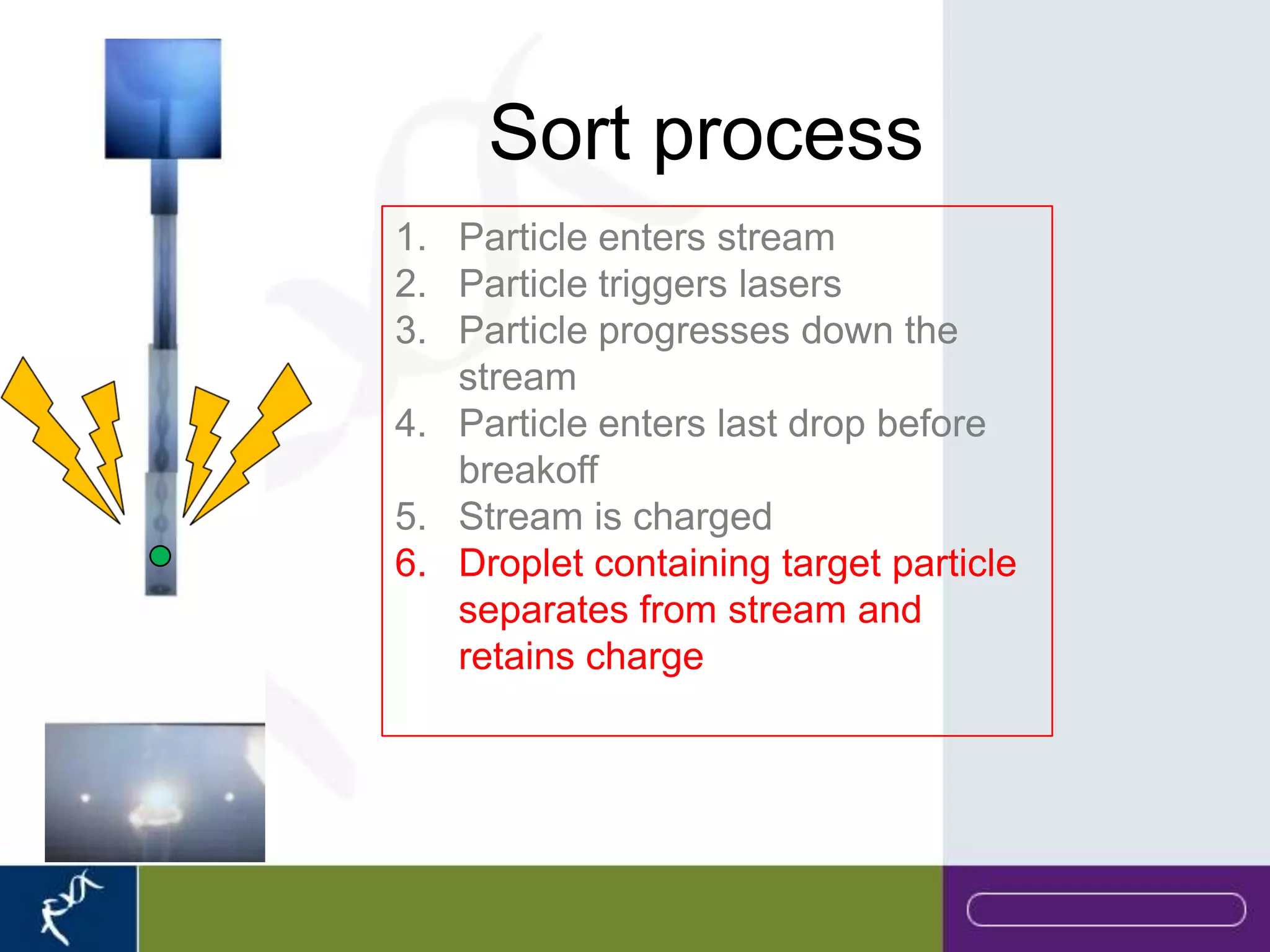 Cell Sorting _Flow Cytometry | PPS