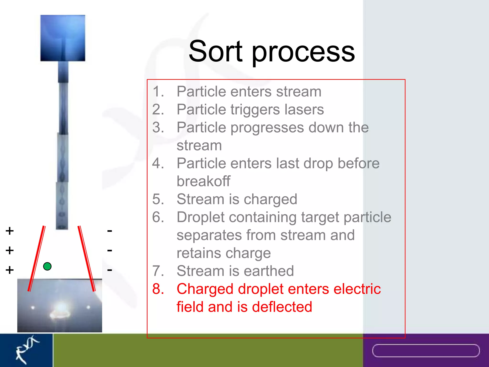 Cell Sorting _Flow Cytometry | PPS