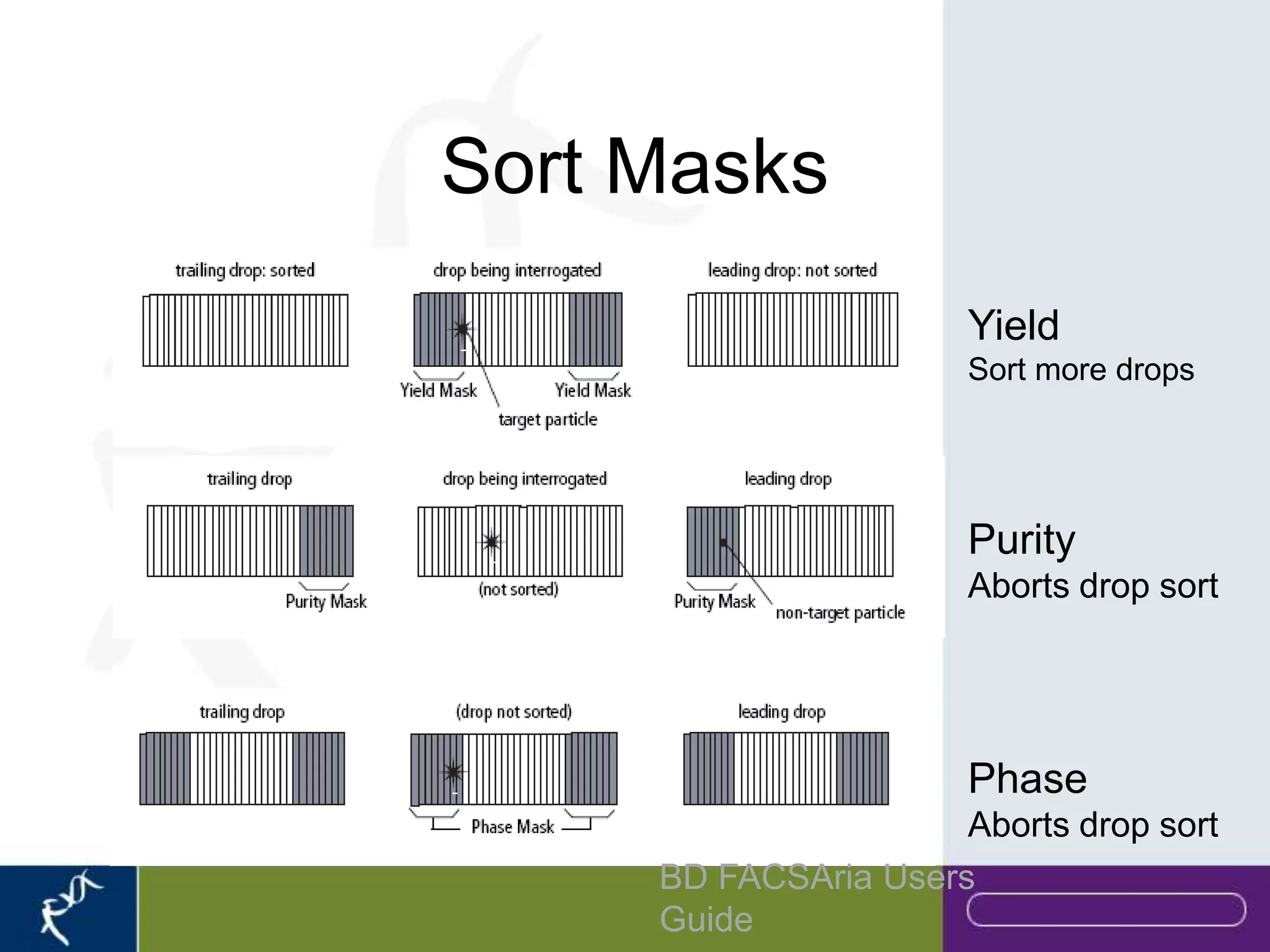 Cell Sorting _Flow Cytometry | PPS