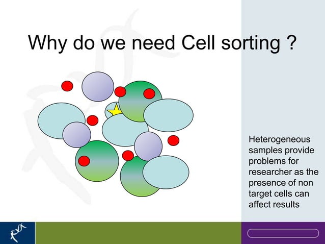 Cell Sorting _Flow Cytometry | PPS