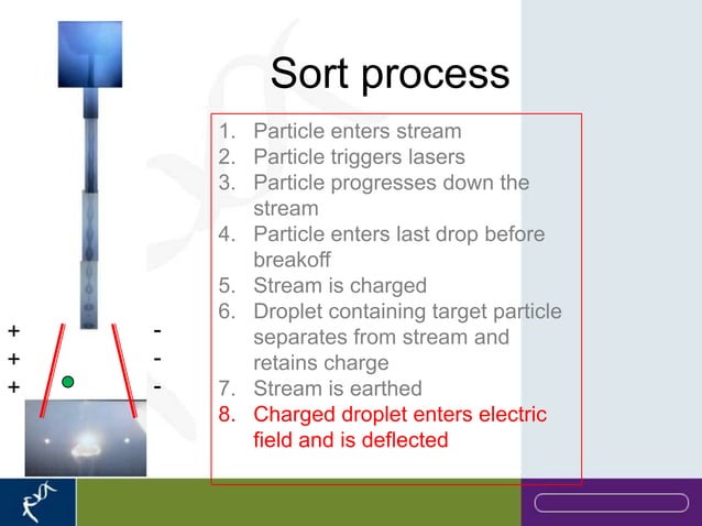 Cell Sorting _Flow Cytometry | PPS