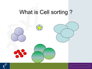Cell Sorting _Flow Cytometry | PPS