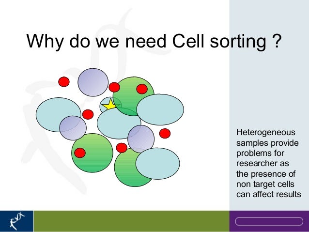 Cell Sorting _Flow Cytometry