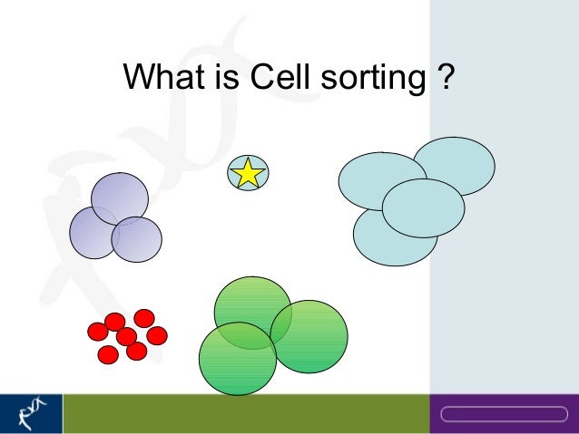 Cell Sorting Flow Cytometry