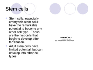 Cells (p 3 notes) | PPT