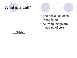Cells (p 3 notes) | PPT