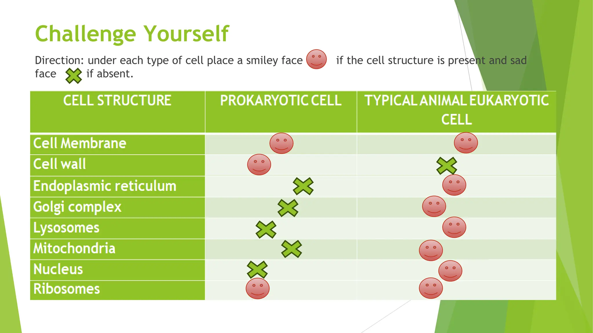 GENERAL BIOLOGY 1 CELLS AND ITS ORGANELLES.pptx