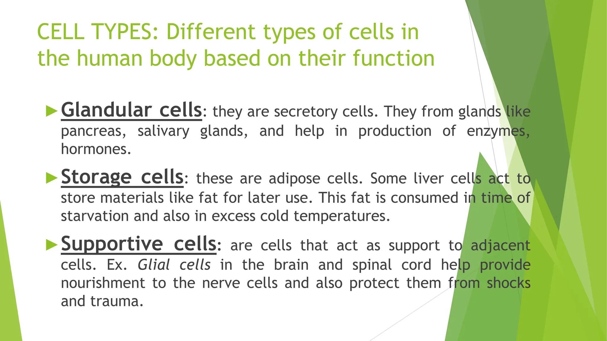 GENERAL BIOLOGY 1 CELLS AND ITS ORGANELLES.pptx