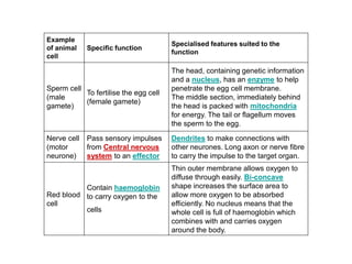 cell_specialisation and tissues 2020.ppt
