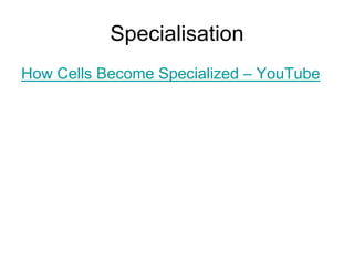 cell_specialisation and tissues 2020.ppt