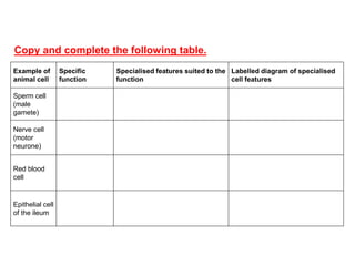 cell_specialisation and tissues 2020.ppt