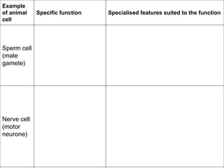 cell_specialisation and tissues 2020.ppt