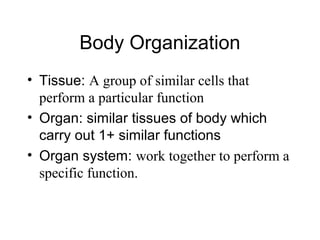 Cell specialization | PPT