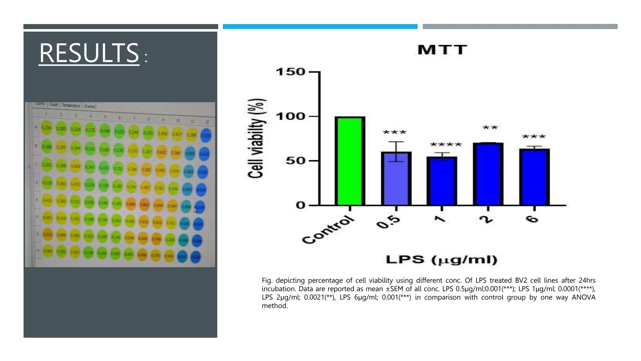 MTT Assay (cell spiltting + cell counting) | PPT