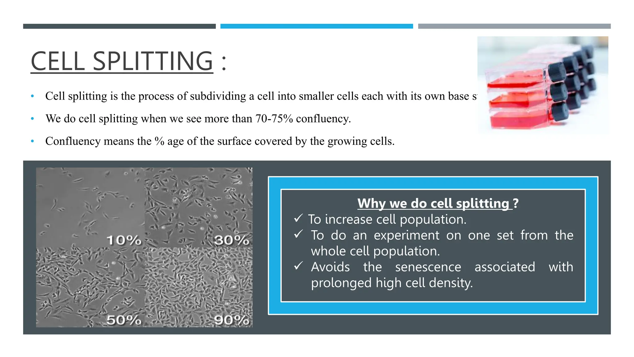 MTT Assay (cell spiltting + cell counting) | PPTX