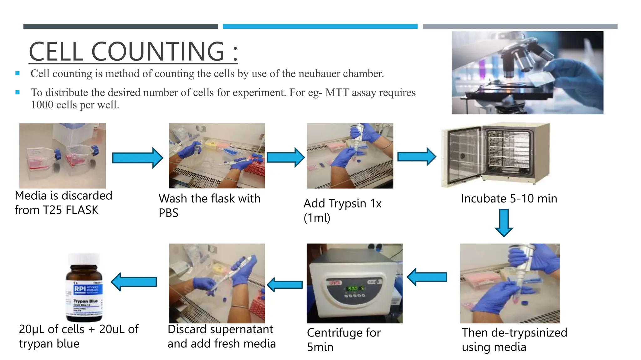 MTT Assay (cell spiltting + cell counting) | PPTX