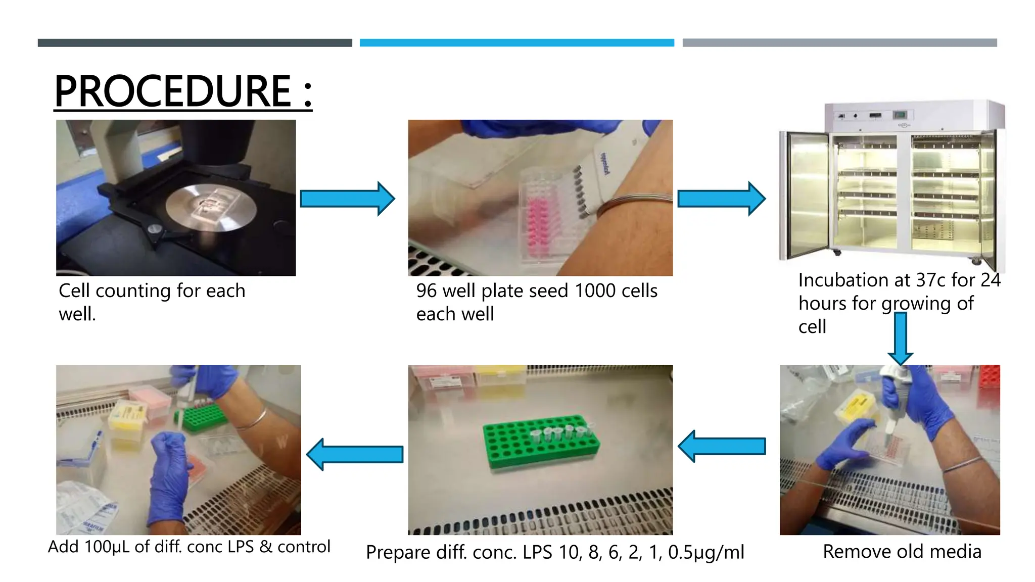 MTT Assay (cell spiltting + cell counting) | PPTX