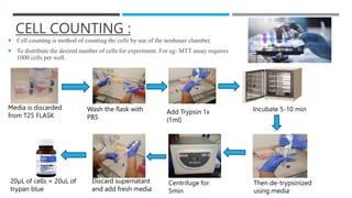 MTT Assay (cell spiltting + cell counting) | PPTX