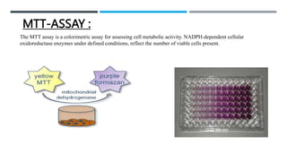 MTT Assay (cell spiltting + cell counting) | PPT