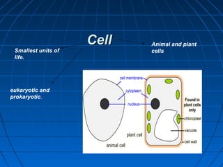 Cells powerpoint | PPT