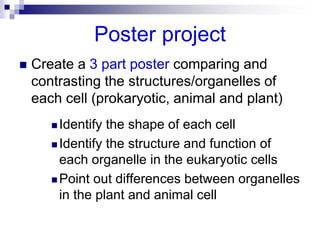 cells ppt.ppt
