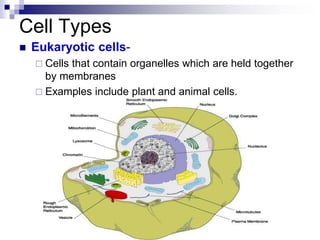 cells ppt.ppt
