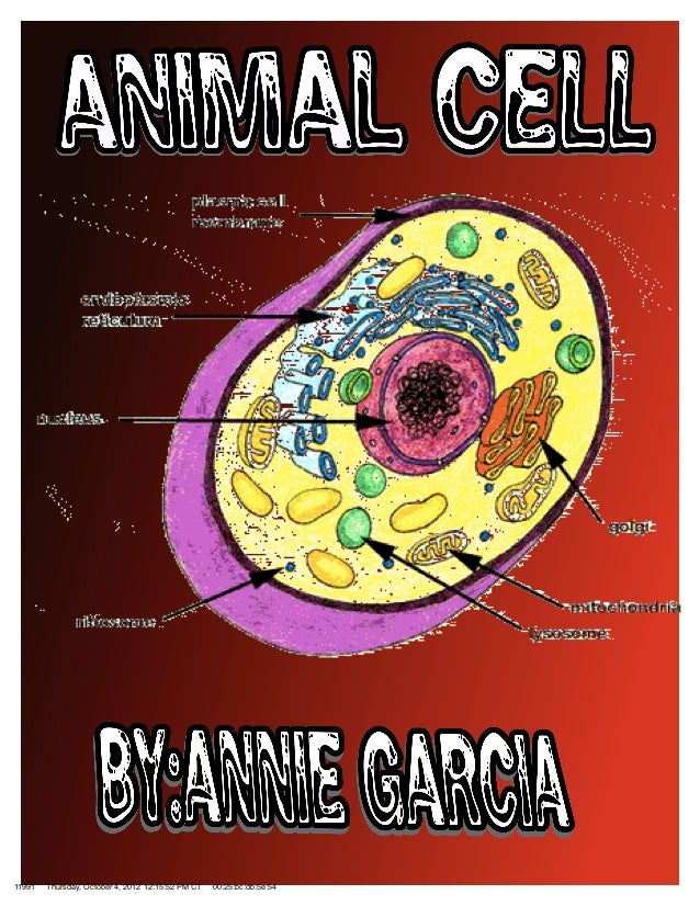 Animal Cell Project Poster