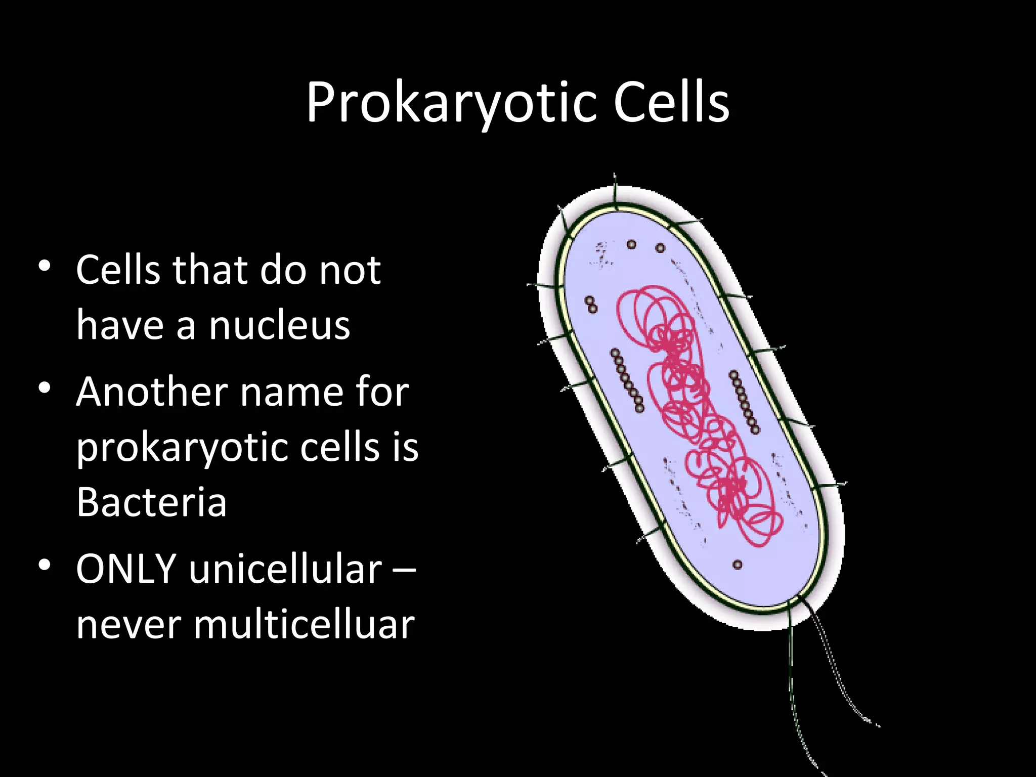 Cell Biology Notes | PPT