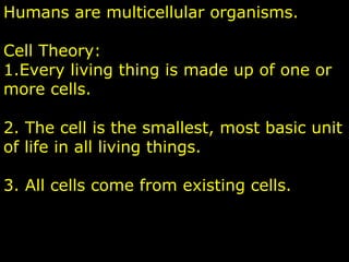 Cell Biology Notes | PPT