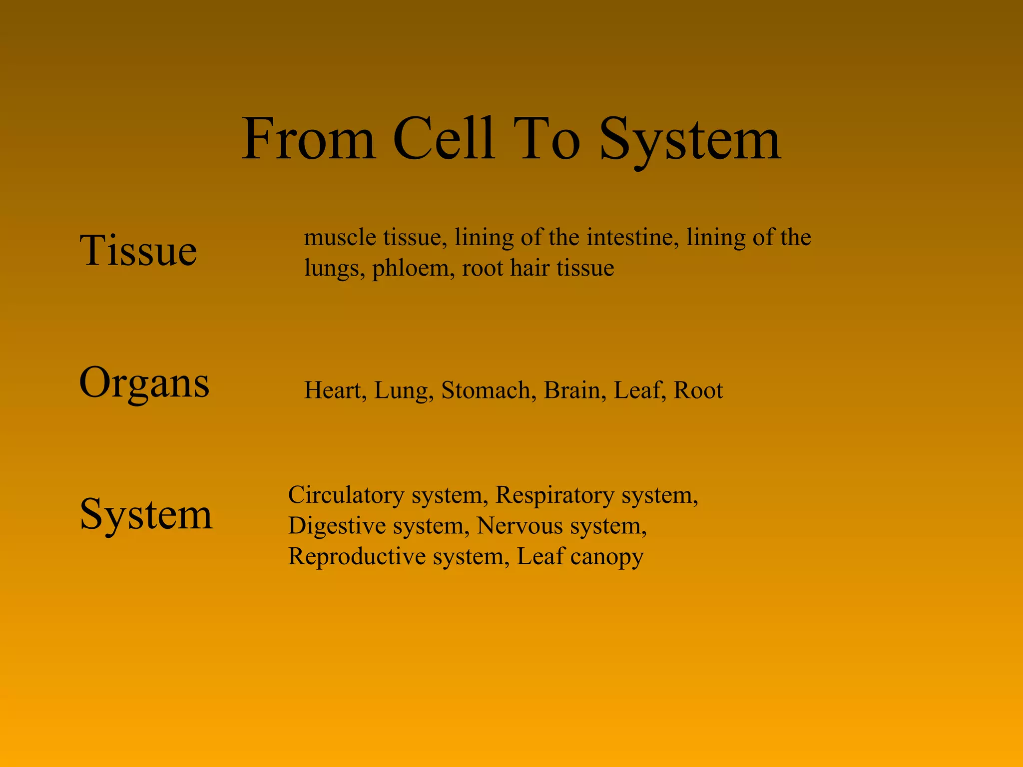 The Cell by Porta and Travisano | PPT