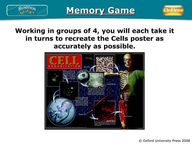 Cells revision lesson | PPT