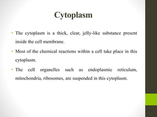 cells structure.pptx