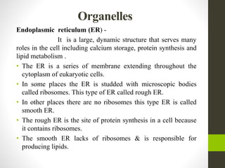 cells structure.pptx