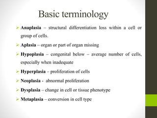 cells structure.pptx