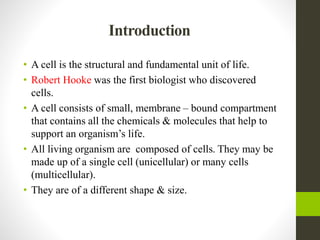 cells structure.pptx