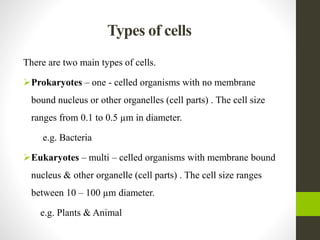cells structure.pptx