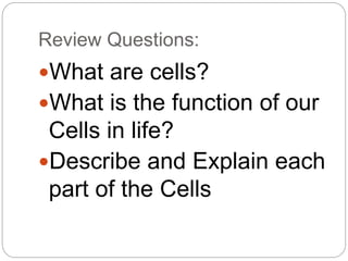 Cells (Structure and Function) | PPTX | Biological Sciences | Science