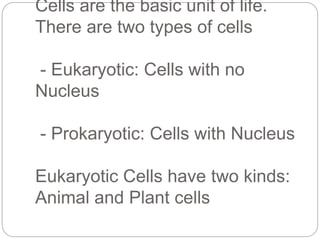 Cells (Structure and Function) | PPTX | Biological Sciences | Science