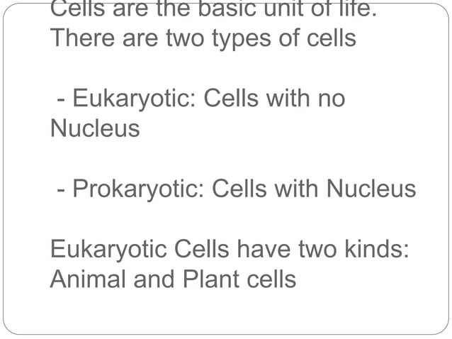 Cells (Structure and Function) | PPTX | Biological Sciences | Science