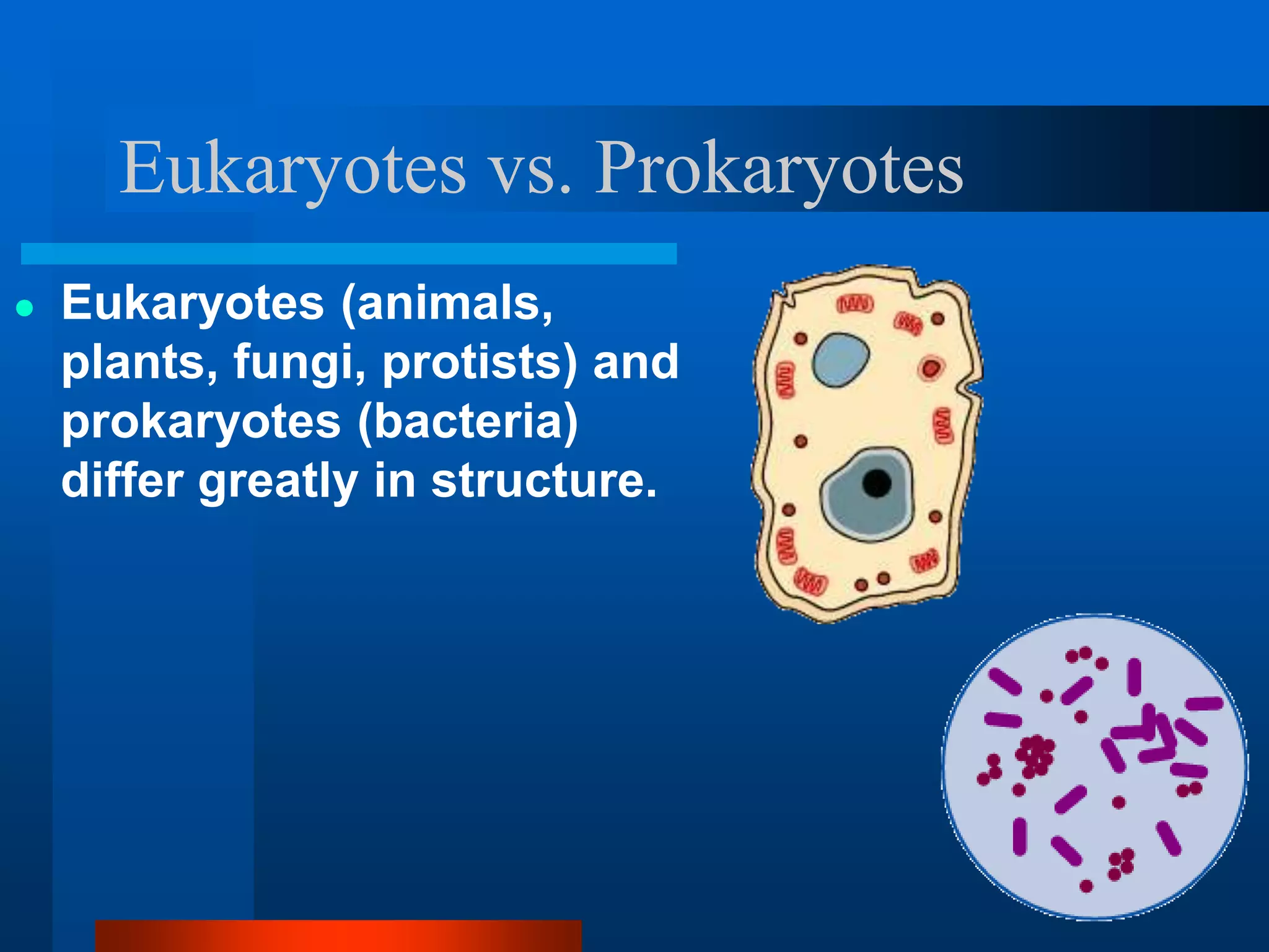 Cells Structure and Function.ppt.pptx
