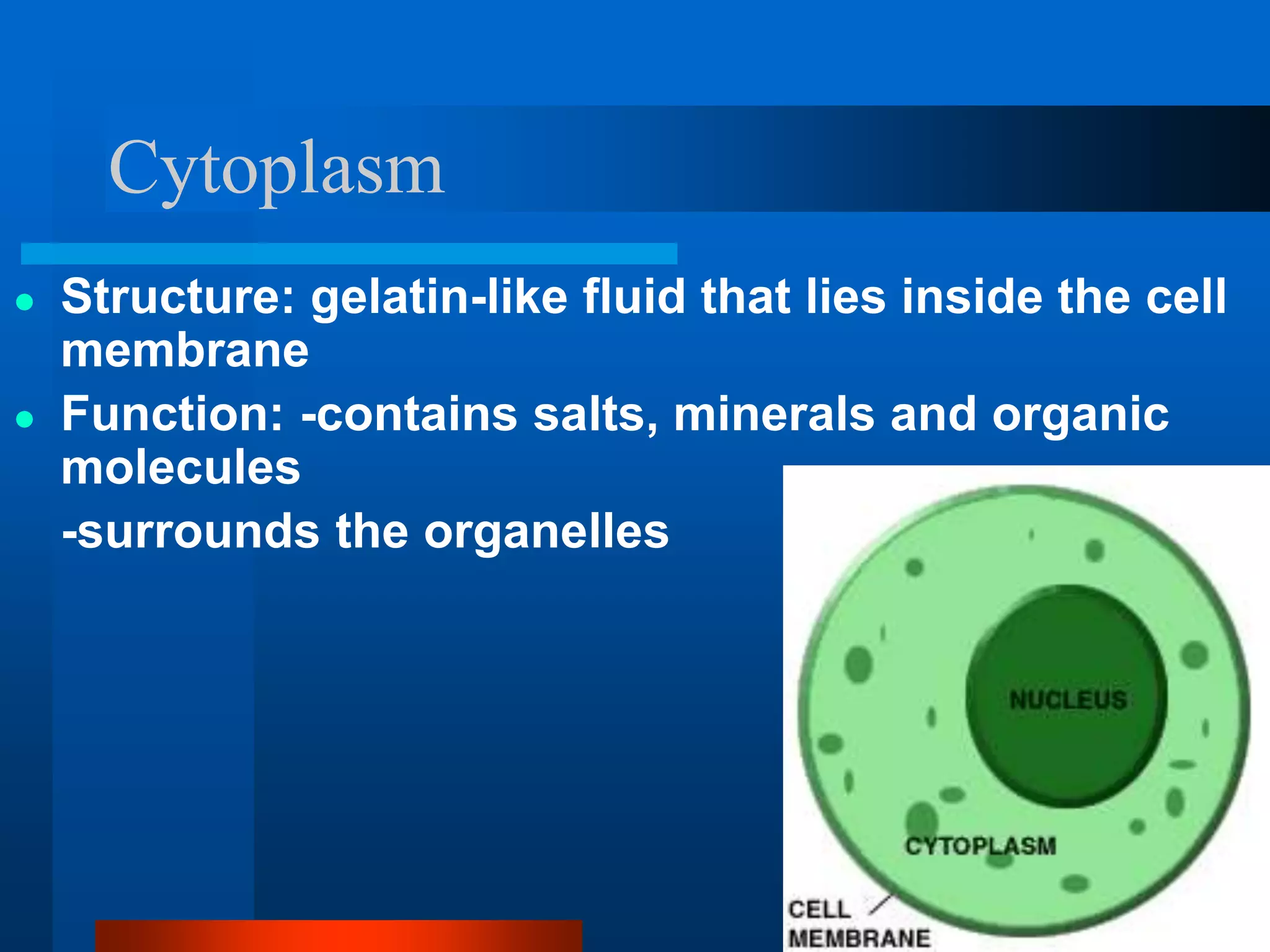 Cells Structure and Function.ppt.pptx