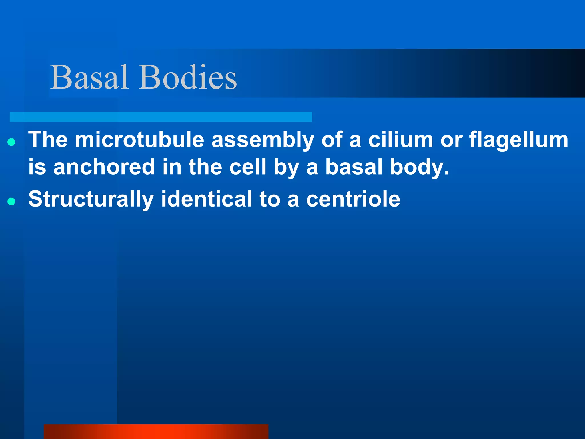 Cells Structure and Function.ppt.pptx