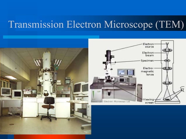 Cells Structure and Function.ppt.pptx