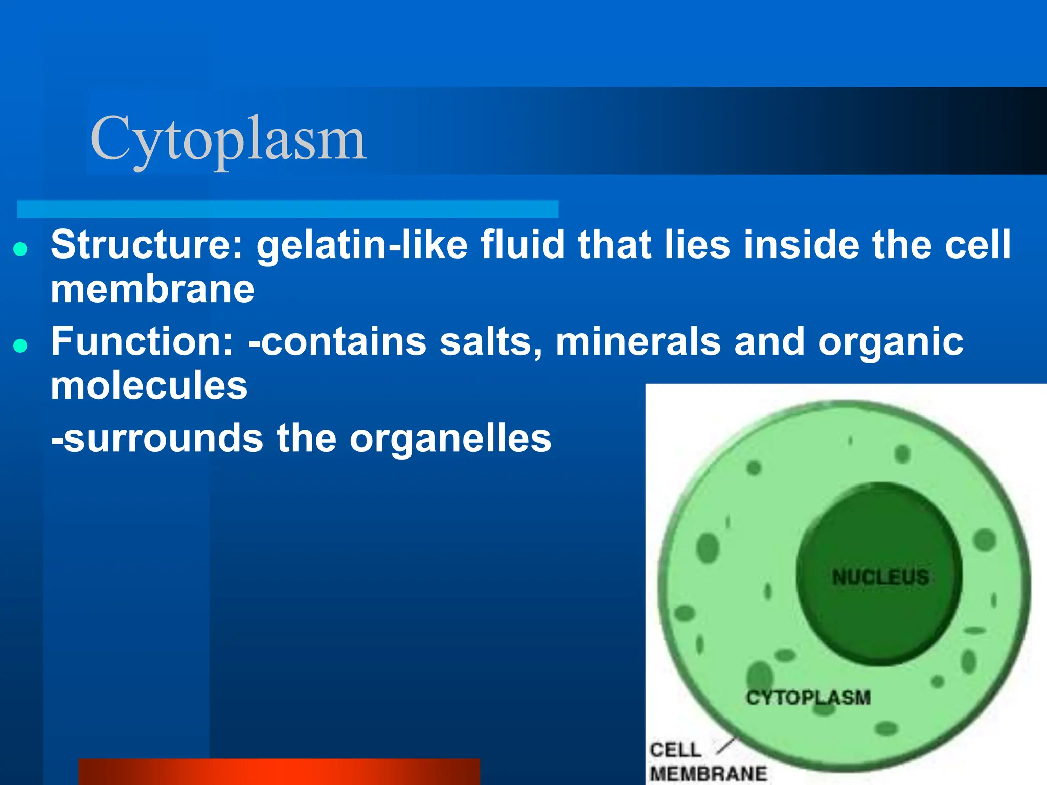 Cells Structure and Function.ppt.pptx