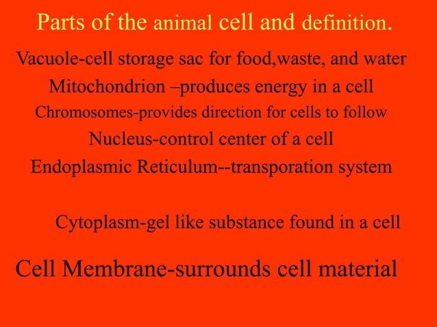 cells The Basic Unit of Life.ppt
