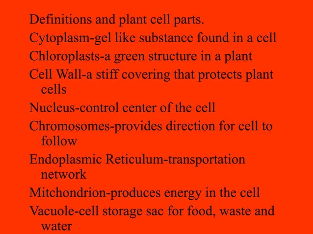 cells The Basic Unit of Life.ppt