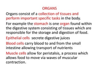 Cells tissue organs_systems | PPTX