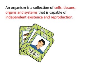Cells tissue organs_systems | PPTX