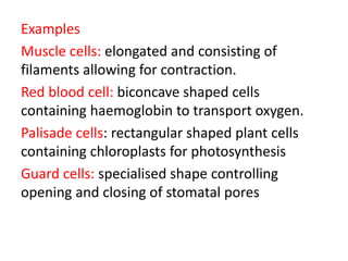 Cells tissue organs_systems | PPTX